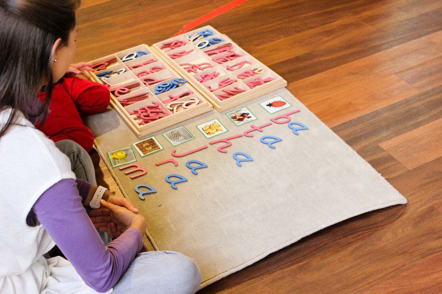 Material Spotlight: The Moveable Alphabet