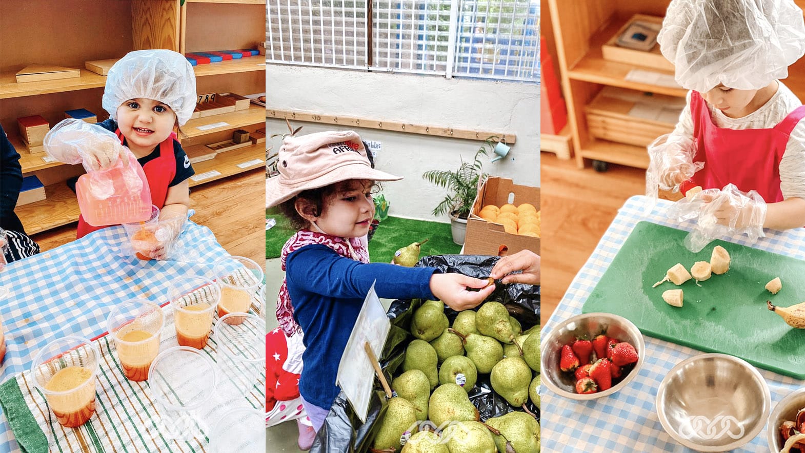 Supporting Healthy Child Immune System Development | MA